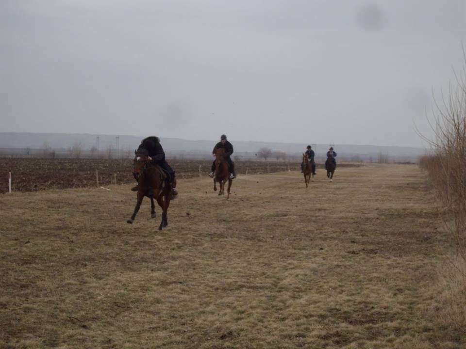 Todorova subota: Stižu tamni jahači čiji topot ledi krv u žilama ...